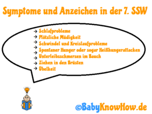 7. SSW: Entwicklung im Ultraschall, Symptome & Anzeichen